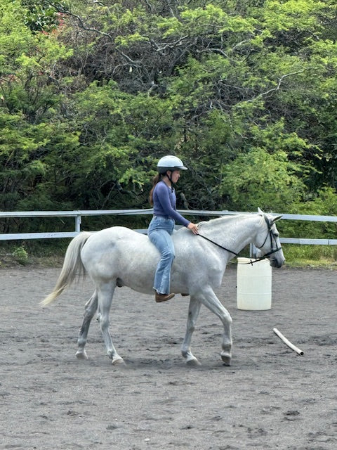 Introductory Lesson – Aloha Riding Lessons, Honolulu