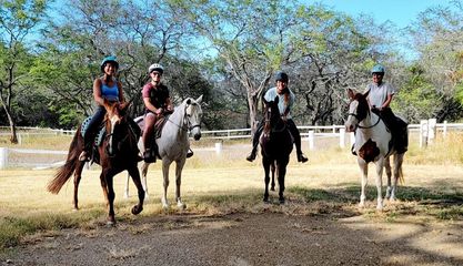 Introductory/Evaluation Lesson — Aloha Riding Lessons, Honolulu