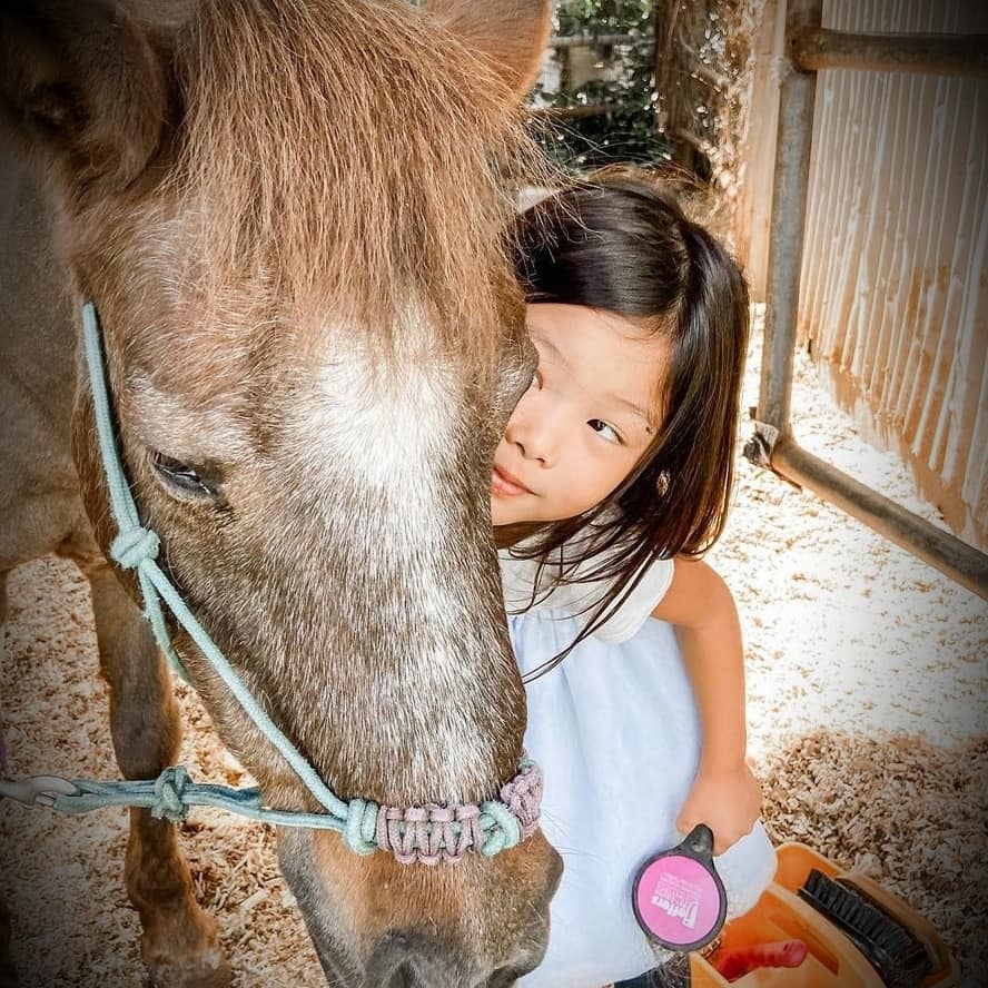 Introductory Horseback Riding Lesson – Aloha Riding Lessons, Honlulu