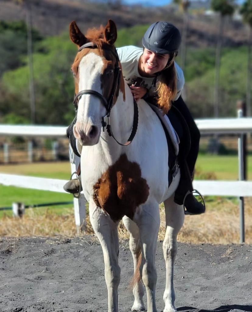 Horseback Riding Lessons in Honolulu, HI – Aloha Riding Lessons, Honolulu